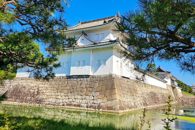 Kyoto Imperial Palace & Nijo Castle Guided Walking Tour - 3 Hours - Customer Reviews and Feedback