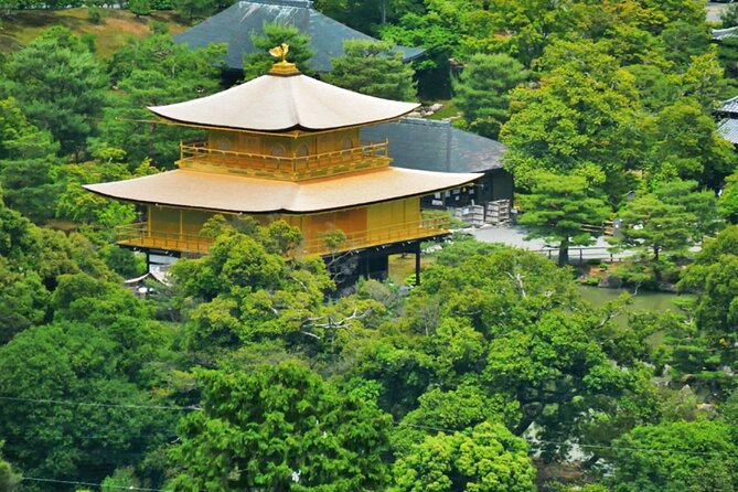 Kyoto ITALIAN GUIDE Golden Pagoda Bamboo Forest Dry Garden - Key Points