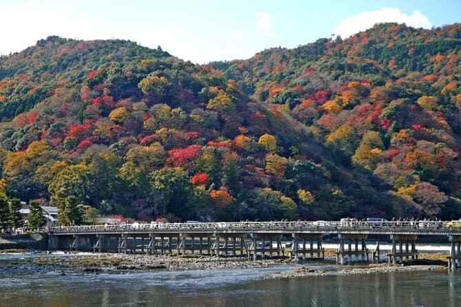 Kyoto ITALIAN GUIDE Golden Pagoda Bamboo Forest Dry Garden - Exploring the Golden Pagoda
