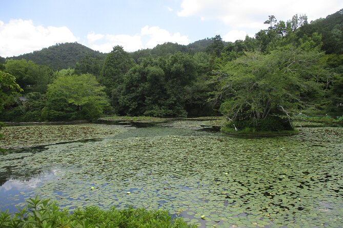 Kyoto ITALIAN GUIDE Golden Pagoda Bamboo Forest Dry Garden - Common Questions