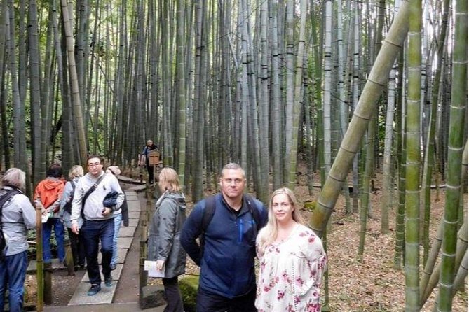 Kyoto Japanese Garden Lovers Private Tour With Government-Licensed Guide - Transportation and Accessibility