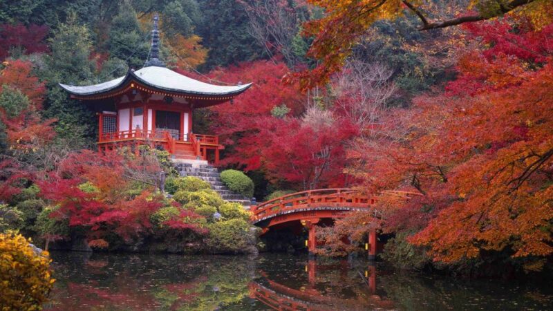 Kyoto: Japanese Gardens Private Customizable Tour - Transportation and Accessibility