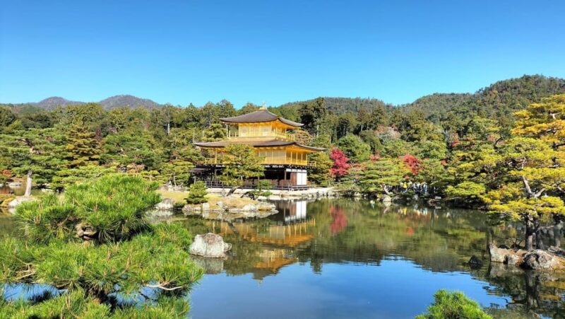 Kyoto: Kinkaku-ji Autumn Leaves Guided Tour 90 Minutes - Key Points