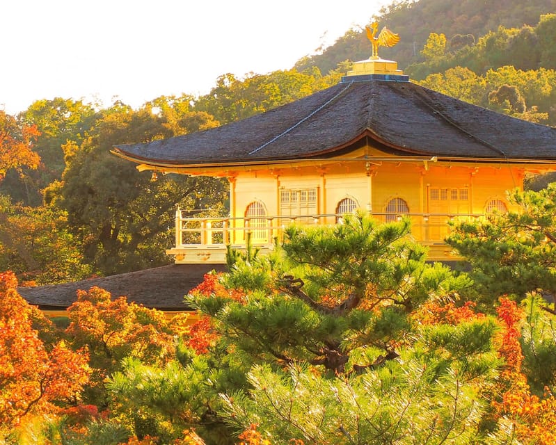 Kyoto: Kinkaku-ji Autumn Leaves Guided Tour 90 Minutes - Tour Highlights