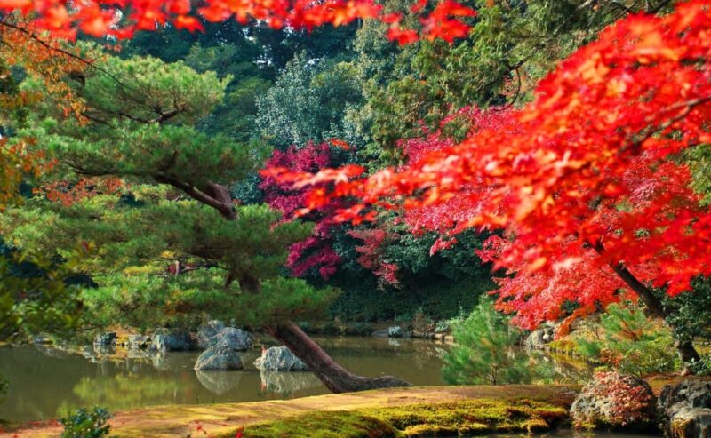 Kyoto: Kinkaku-ji Autumn Leaves Guided Tour 90 Minutes - Inclusions
