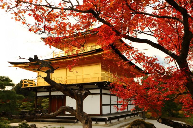 Kyoto: Kinkaku-ji Autumn Leaves Guided Tour 90 Minutes - Important Information