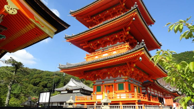 Kyoto: Kiyomizudera, Higashiyama and Yasaka Discovery Tour - Customer Feedback