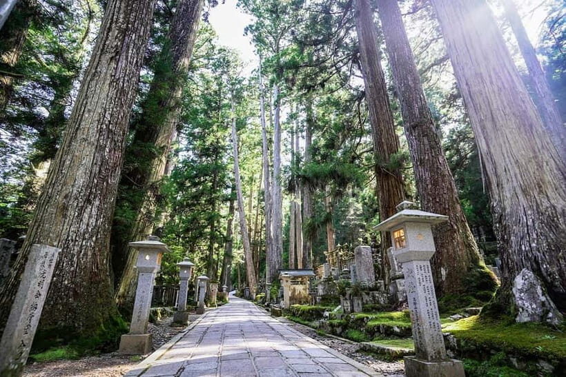 Kyoto: Koyasan Private Day Trip with Guide and Lunch - The Sum Up
