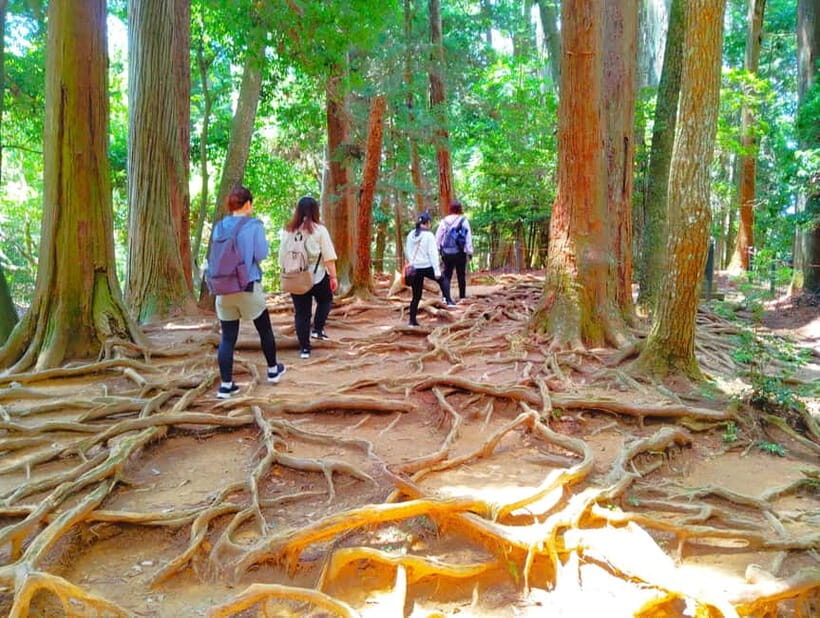 Kyoto: Kurama Temple and Mountain Legends Guided Hike - Key Points