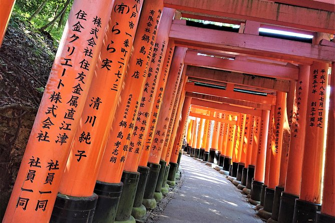 Kyoto Late Bird Walking Tour - Guide Experience and Feedback