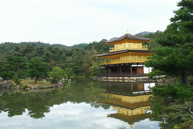 Kyoto Lazy Bird Walking Tour - Exploring the Iconic Kinkaku-ji Temple