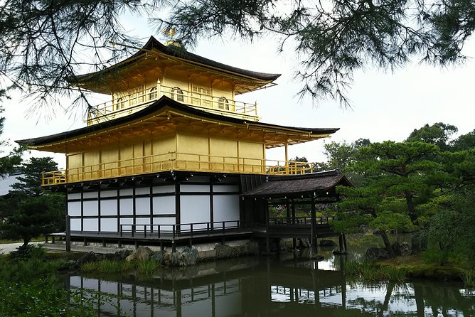 Kyoto Lazy Bird Walking Tour - Customer Testimonials and Ratings