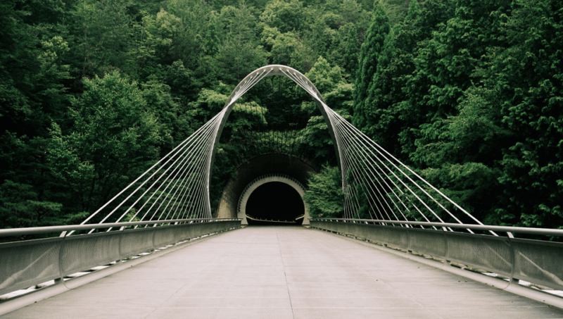 Kyoto: Miho Museum & Hachiman Shrine Tour (+ Omi Beef Exp!) - Itinerary and Activities