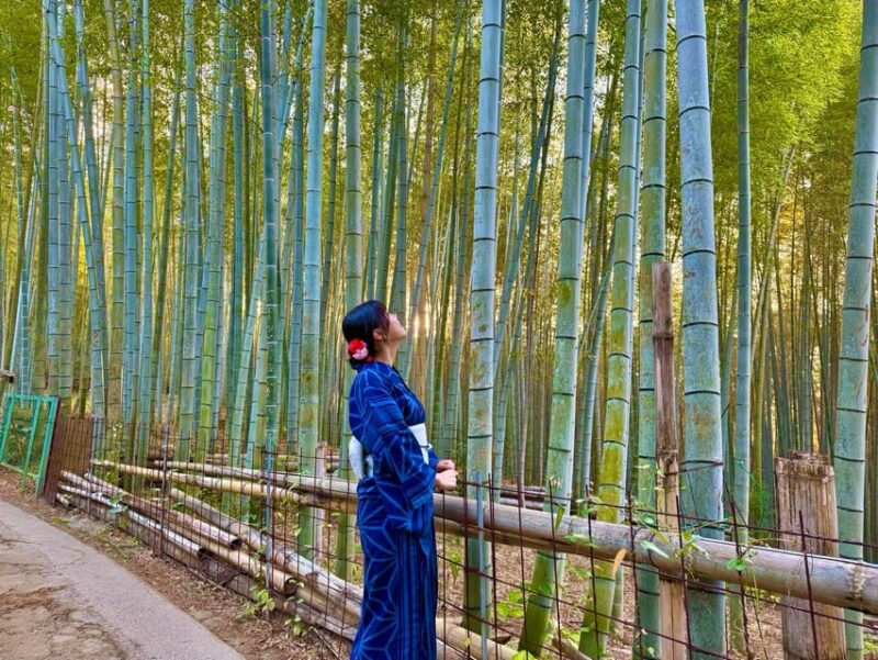 Kyoto Morning Tour: Top Landmarks in Half a Day - Frequently Asked Questions