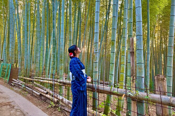 Kyoto Morning Tour:Top Landmarks in Half a Day(Private Available) - Pricing and Booking