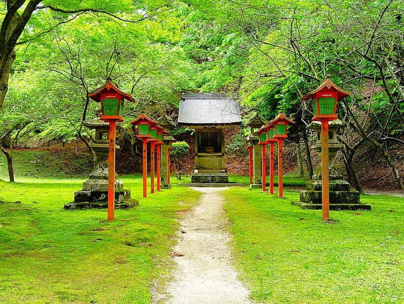 Kyoto: Mount Hiei Guided Tour  Mother of Japanese Buddhism - An Introduction to Mount Hiei’s Spiritual Significance