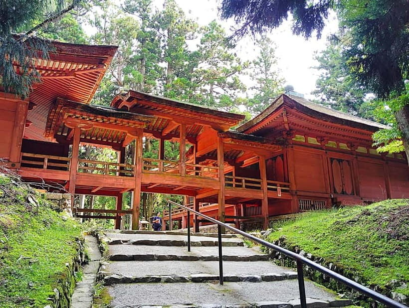 Kyoto: Mount Hiei Guided Tour  Mother of Japanese Buddhism - The Experience’s Value: What Makes It Stand Out?
