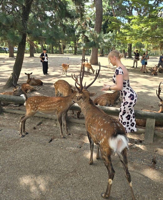 Kyoto, Nara, and Osaka: Private Customizable Tour - Key Points