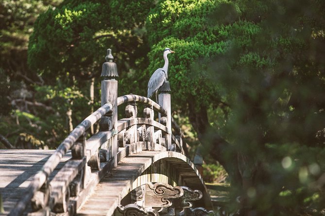 Kyoto & Nara Day Trip -Golden Pavilion & Todaiji From Kyoto/Osaka - Marveling at Todai-ji Temple
