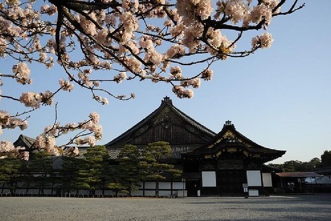 Kyoto & Nara Day Trip -Golden Pavilion & Todaiji From Kyoto/Osaka - Tour Logistics and Details