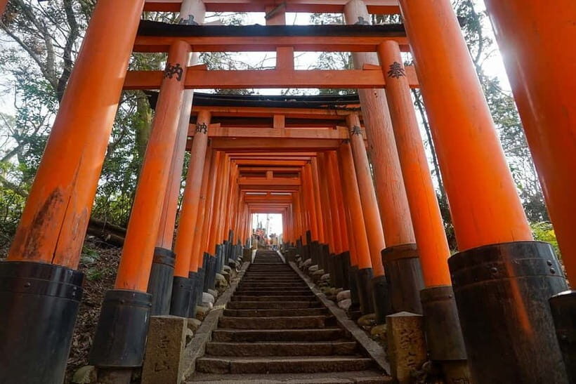 Kyoto & Nara: Day Trip Highlights Tour with a Private Car - Kyoto & Nara: Day Trip Highlights Tour with a Private Car — A Practical and Enjoyable Journey