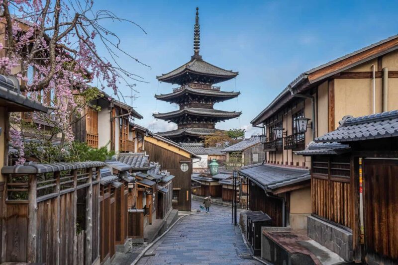 Kyoto & Nara Private Customized, Guided Tour - Transportation and Comfort