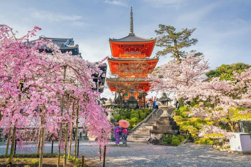 Kyoto & Nara Private Customized, Guided Tour - Comprehensive Overview