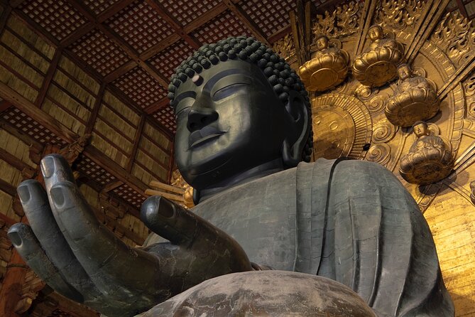 Kyoto & Nara Private Tour From Osaka Kyoto Hotel Pick-Up - Itinerary Suggestions