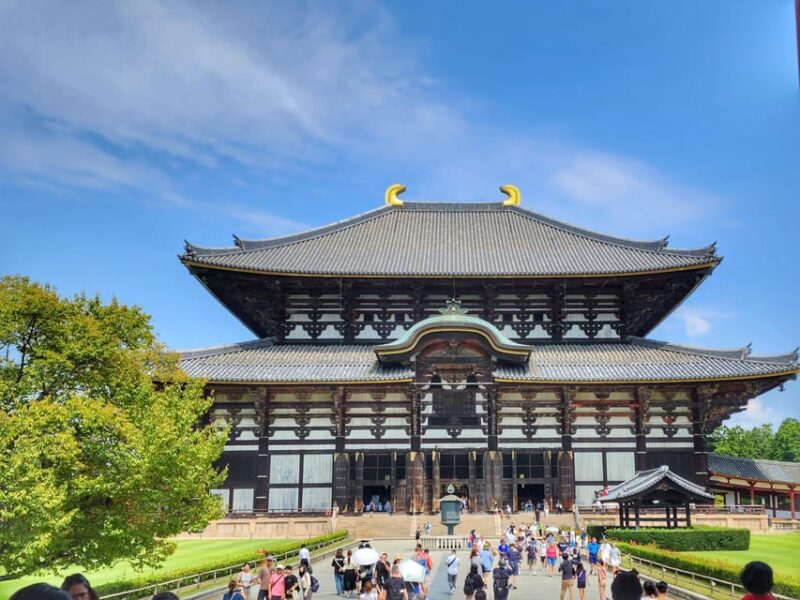 Kyoto: Nara, Todaiji, Kasuga Taisha Shrine Private Full Day - Itinerary Highlights
