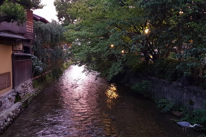 Kyoto Nighttime All-Inclusive Eats and Streets, Gion and Beyond - Booking Information and Policies