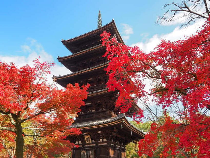 Kyoto: Ninnaji Temple Entry Ticket - Key Points