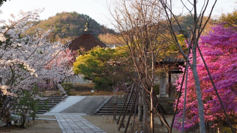 Kyoto: Ninnaji Temple Entry Ticket - The Value of Your Ticket