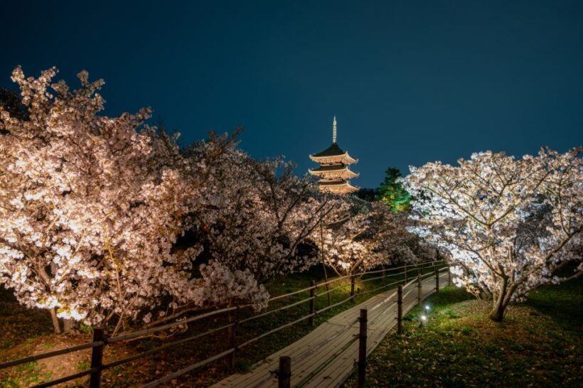 Kyoto: Ninnaji Temple Entry Ticket - The Sum Up: Why Ninnaji is a Hidden Gem