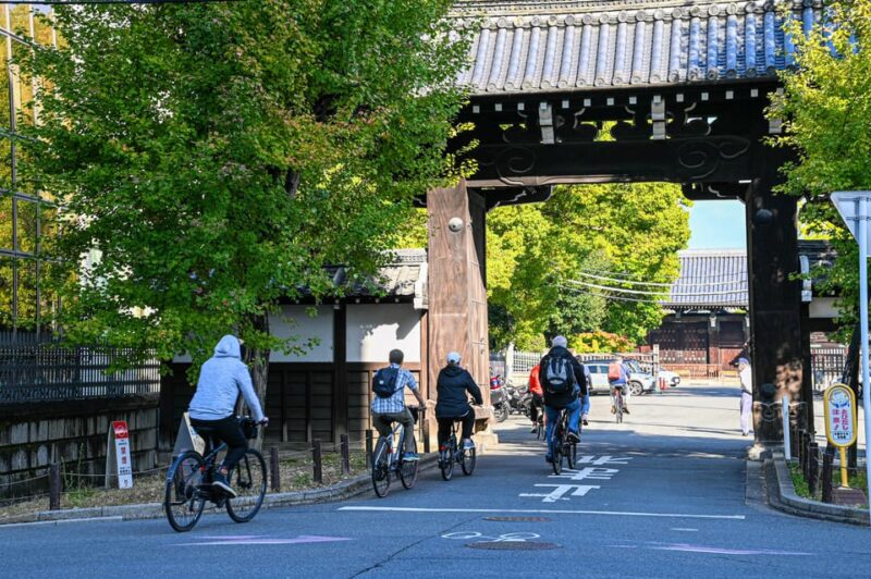 Kyoto: North Kyoto Guided Cycling Tour With Lunch - Experience and Exploration