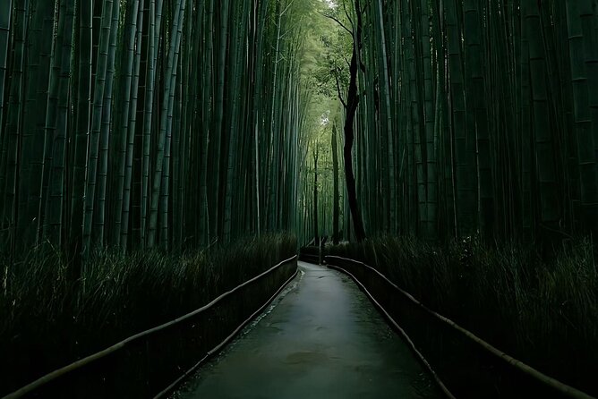 Kyoto: One Day Private Car Tour - Itinerary and Highlights