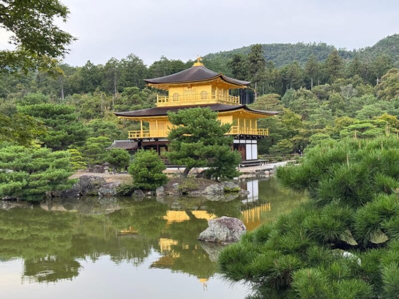 Kyoto One Day Private Tour - Capturing Breathtaking Landscapes