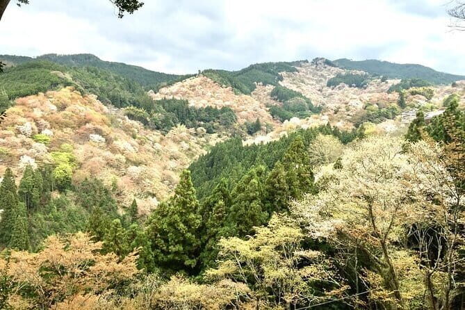 Kyoto One Day Sightseeing Tour from Osaka or Kyoto - FAQ