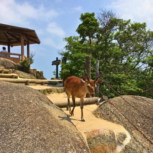 Kyoto/Osaka: Hiroshima History, Peace & Scenic Wonders Trip - Included and Excluded Services