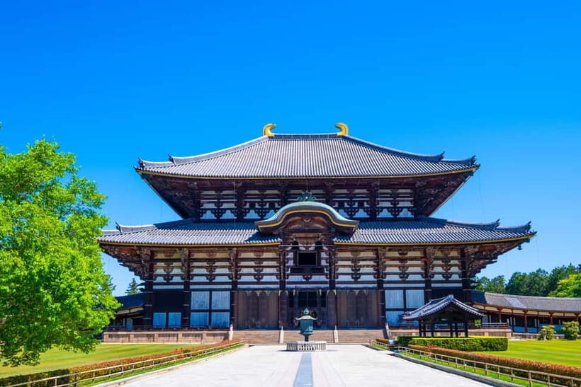 Kyoto/Osaka: Kinkakuji, Bamboo Forest, and Nara Deer Park - The Itinerary Explained: What to Expect