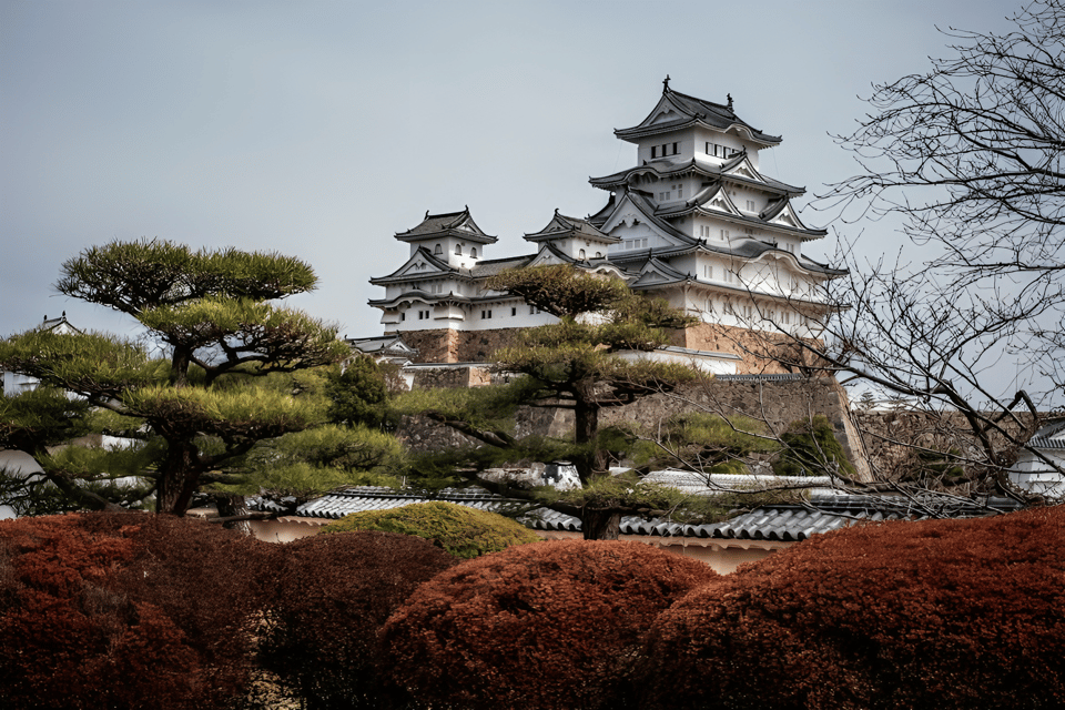 Kyoto/Osaka: Kobe & Himeji Journey Through Culture & History - Booking and Contact Information