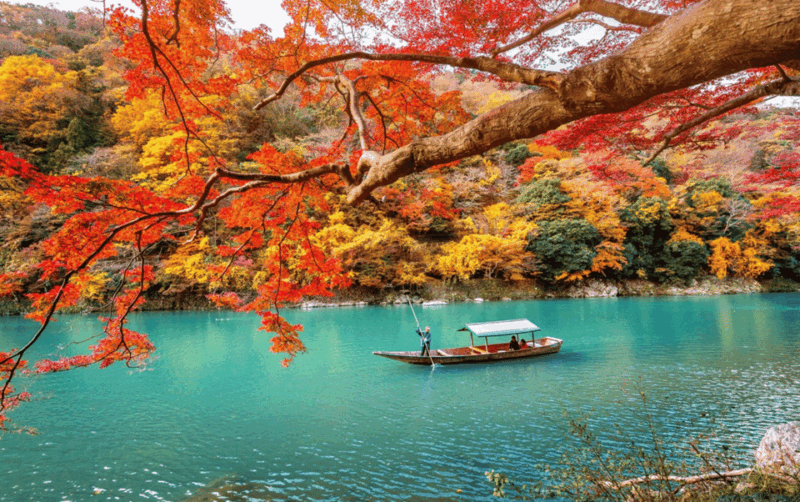 Kyoto/Osaka: Kyoto and Nara Customizable Guided Day Trip - Key Points