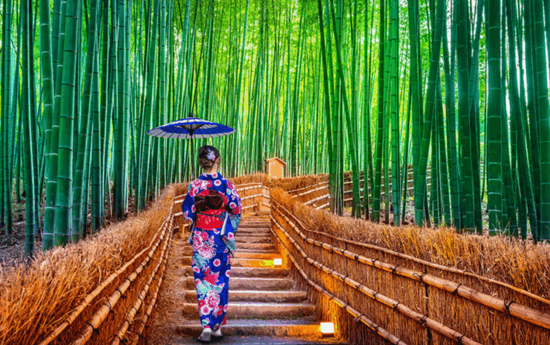 Kyoto/Osaka: Kyoto and Nara Customizable Guided Day Trip - Itinerary and Highlights