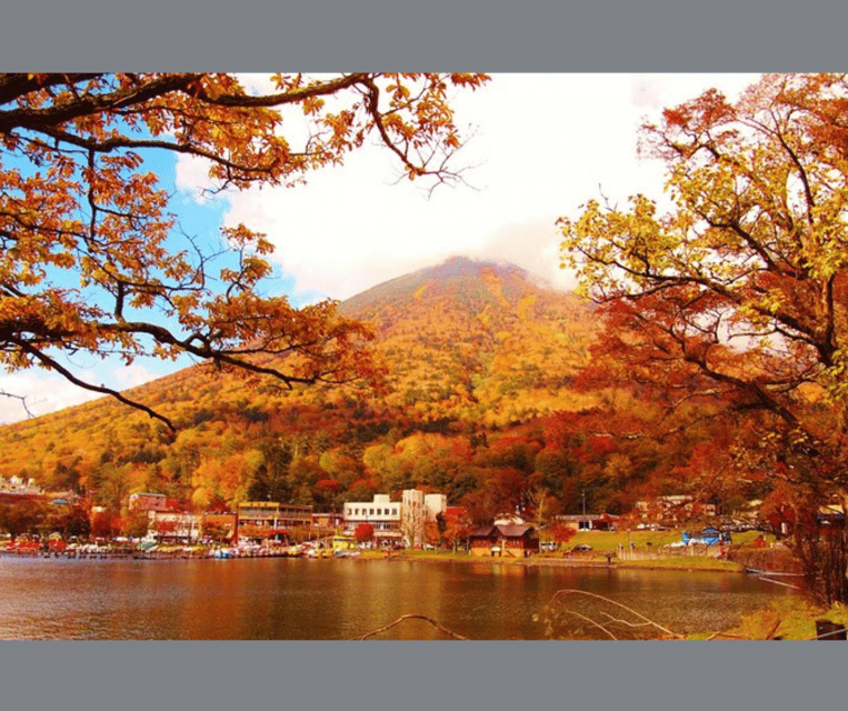 Kyoto/Osaka: Kyoto and Nara Customizable Guided Day Trip - Kyoto-Only Experience