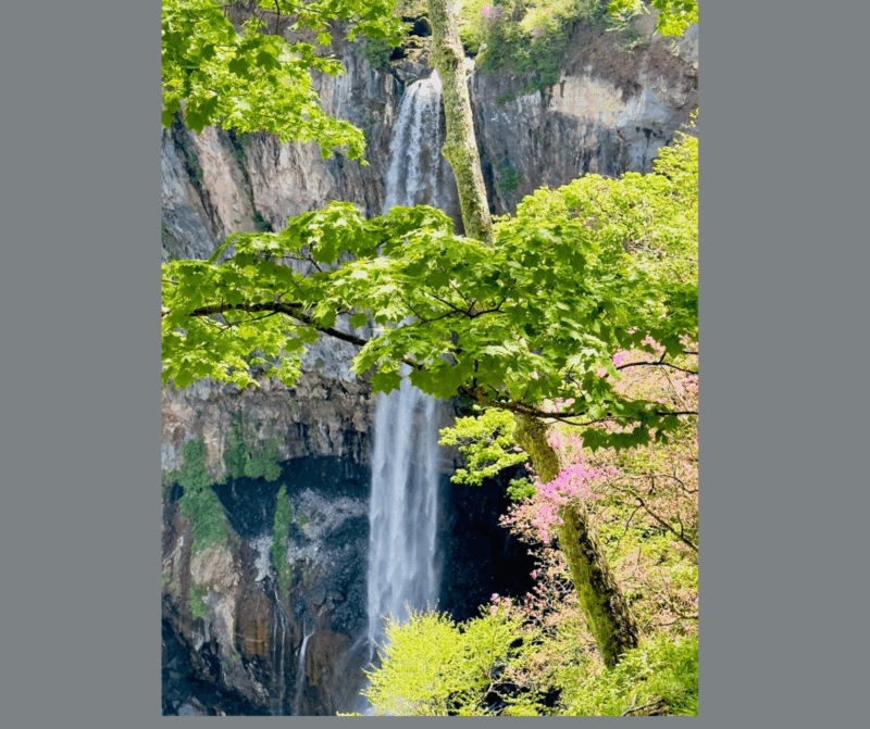 Kyoto/Osaka: Kyoto and Nara Customizable Guided Day Trip - Nara-Only Adventure