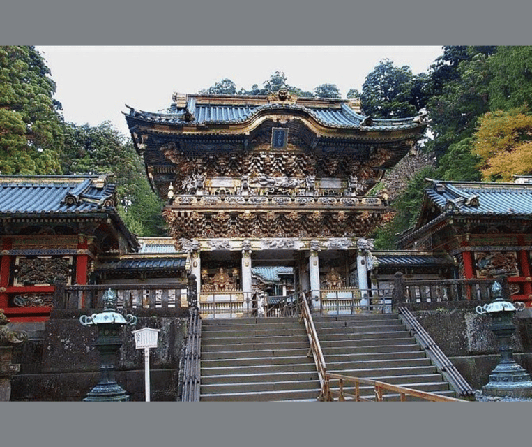 Kyoto/Osaka: Kyoto and Nara Customizable Guided Day Trip - Tour Features and Inclusions