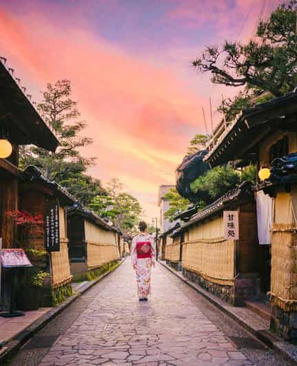 Kyoto/Osaka: Kyoto and Nara Customized Private Guided Tour - Transportation and Accessibility