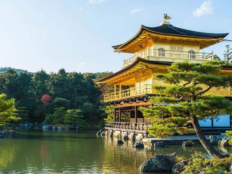 Kyoto/Osaka: Kyoto and Nara Sites & History Day Trip - Included Services