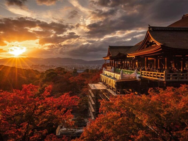 Kyoto/Osaka: Kyoto and Nara Sites & History Day Trip - Important Information