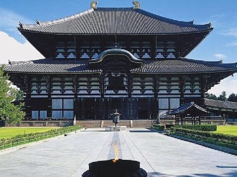 Kyoto/Osaka: Kyoto and Nara Sites & History Day Trip - Nara Park: Guided Tour