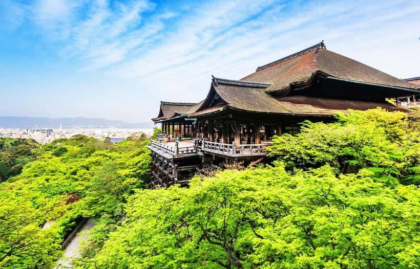 Kyoto/Osaka: Kyoto and Nara World Heritage Day Tour - Practical Details and Comfort